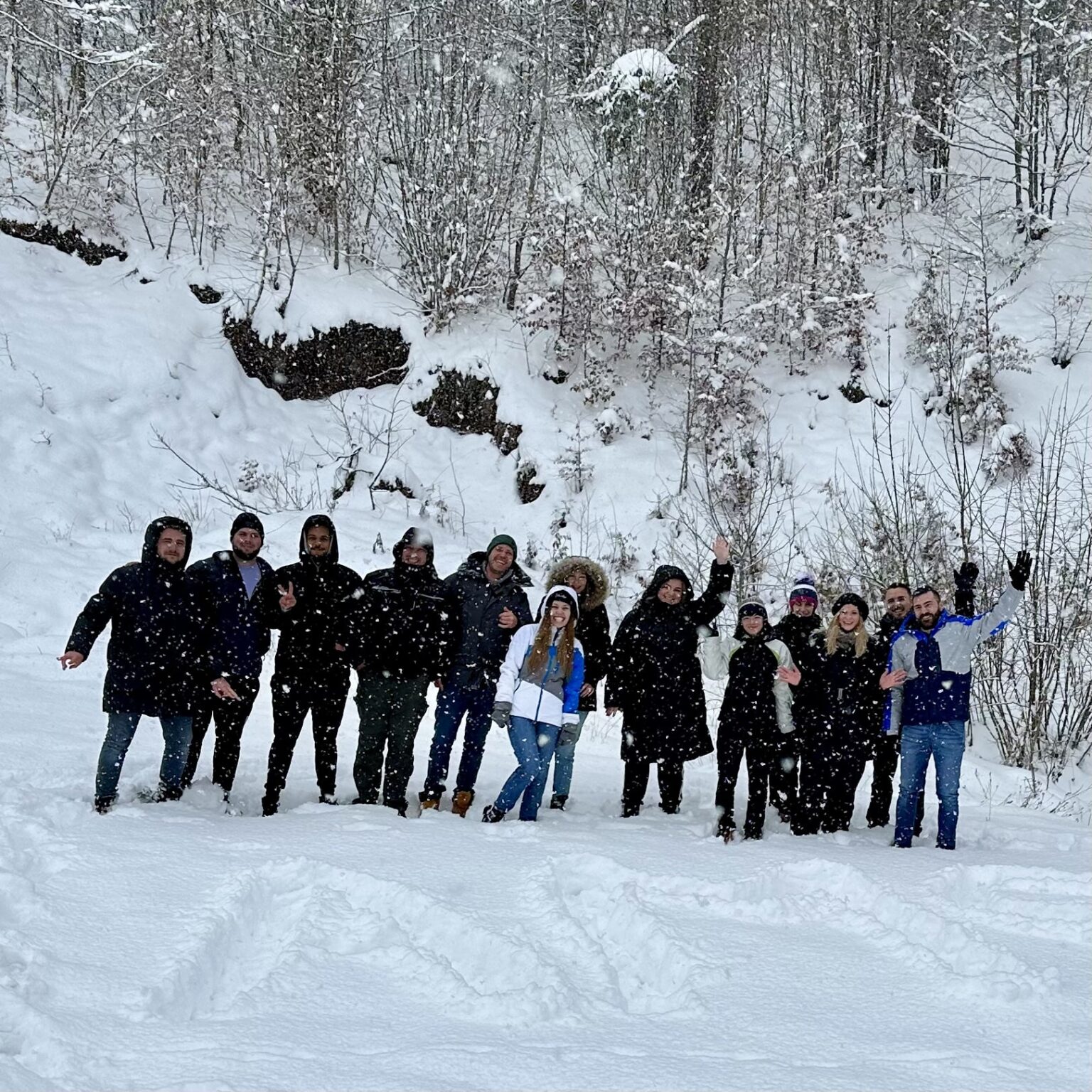 Team Event February 2023 in Romania - AMSYS